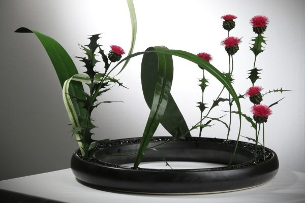 Garden on Paper: Hanji Art Exhibition - OpenSpace