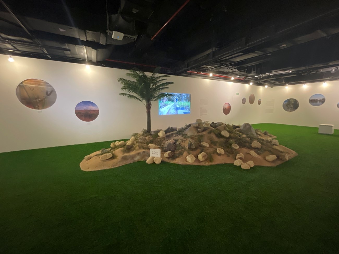 Native: Plants in the UAE Exhibition - OpenSpace