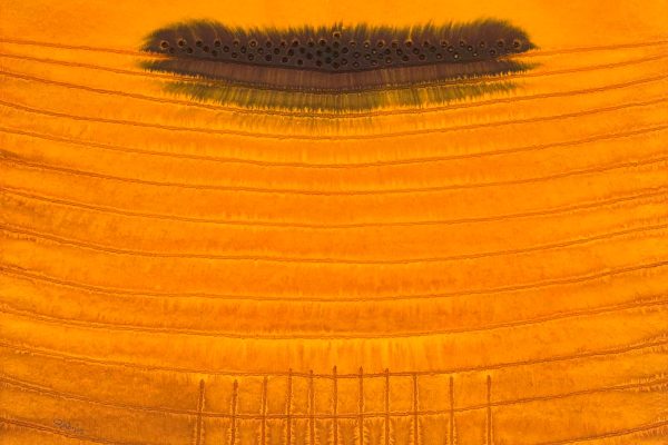 1X1 Art Gallery: Solo Exhibition by Sohan Qadri - OpenSpace