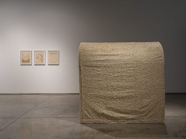 Richi Bhatia: Antevasin - the one who sits at the border of two worlds ...